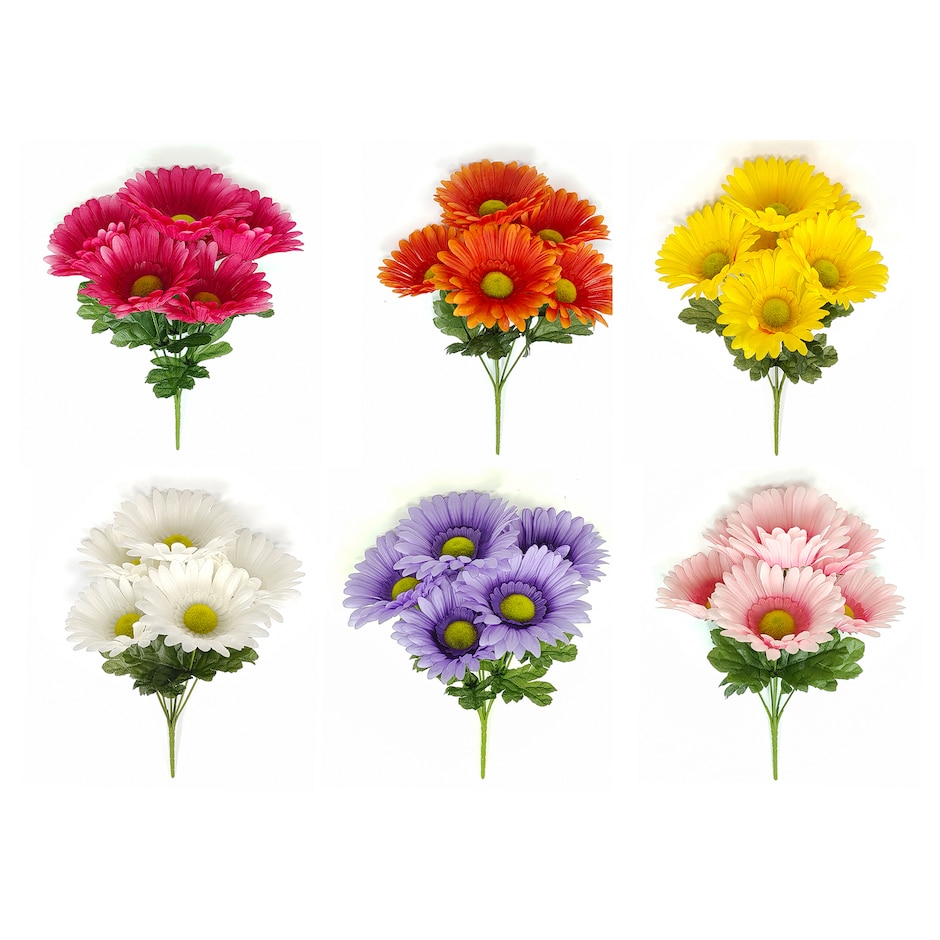 Floral Garden Gerber Daisy Bush, Assorted Colors, 1-ct. | Dollar Tree