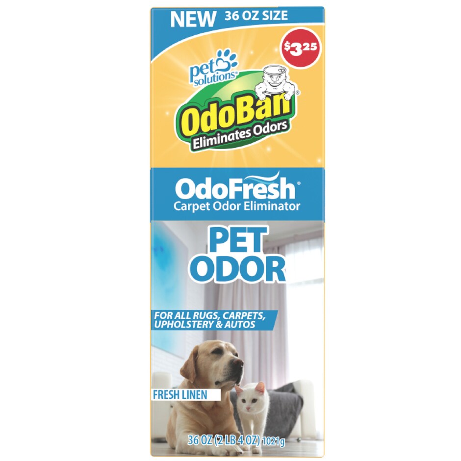 Floor Care: Buckets & Floor Cleaning Tools | DollarTree.com