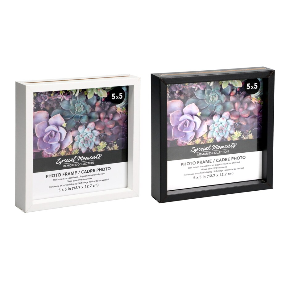 Collage Frames: Clip Photo Frames & Hanger Lines | DollarTree.com