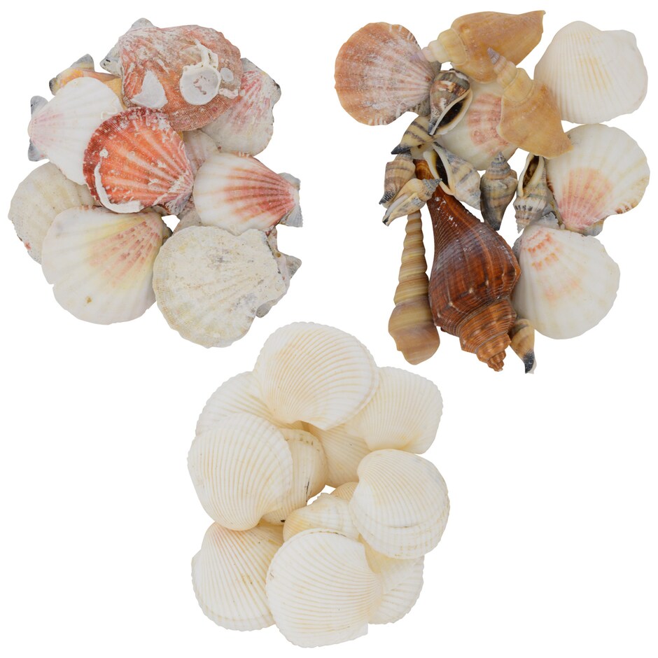 Decorative Crystals, Marbles & Vase Fillers | DollarTree.com