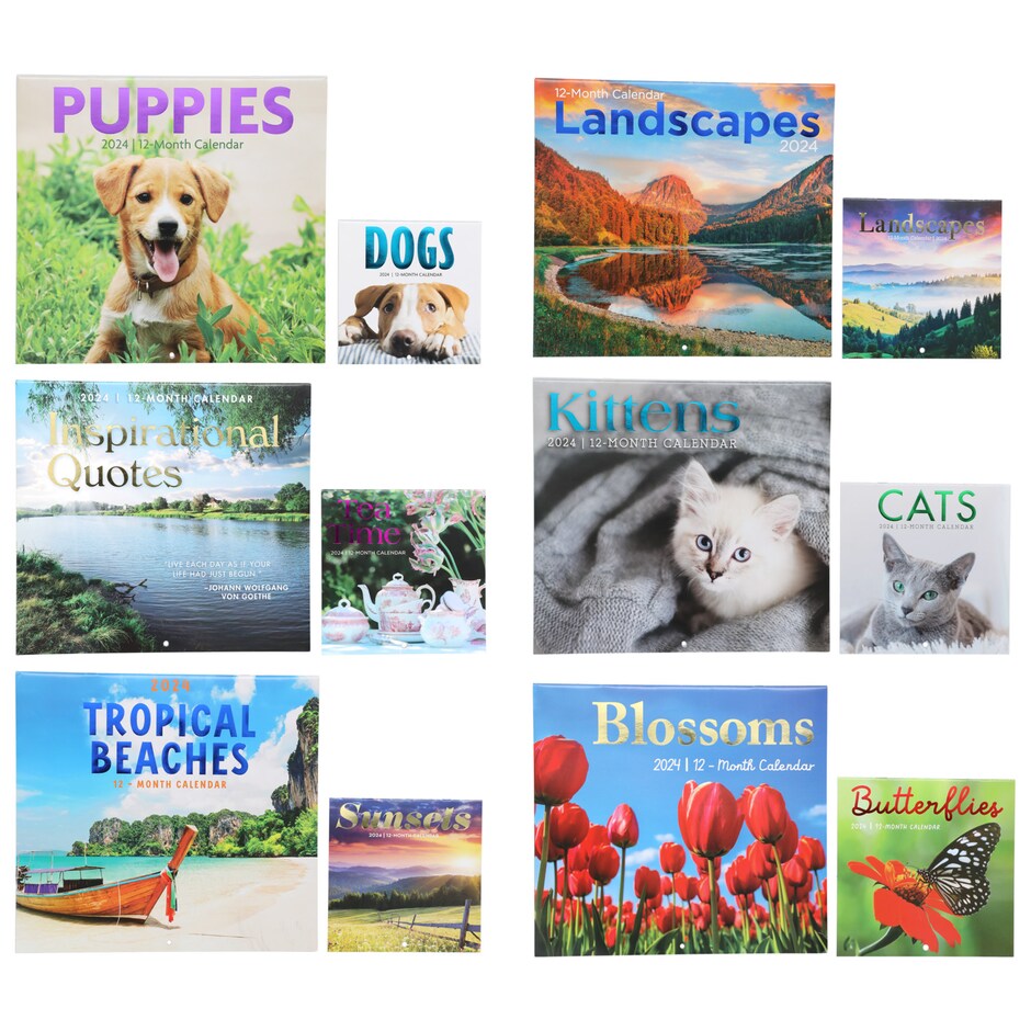 Calendars & Planners | DollarTree.com