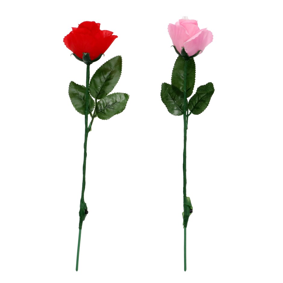 Valentine's Day Floral: Stem Rose Bushes & More | DollarTree.com
