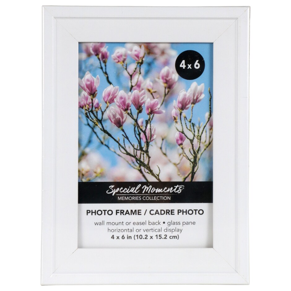4x6 Picture Frames: Acrylic, Wood & Matted | DollarTree.com