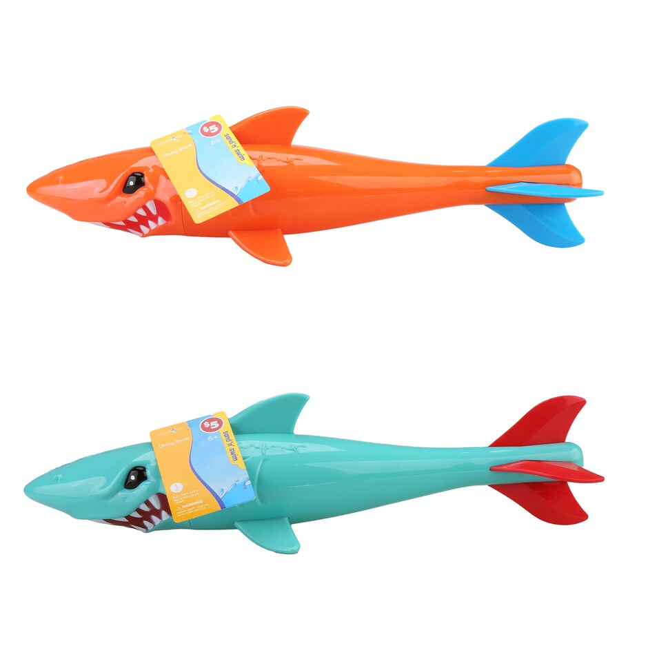 Beach & Pool Toys | DollarTree.com