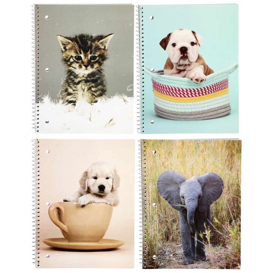 Notebooks and Notepads | DollarTree.com