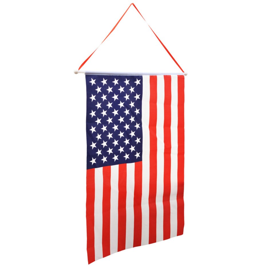 Patriotic Party Supplies | DollarTree.com