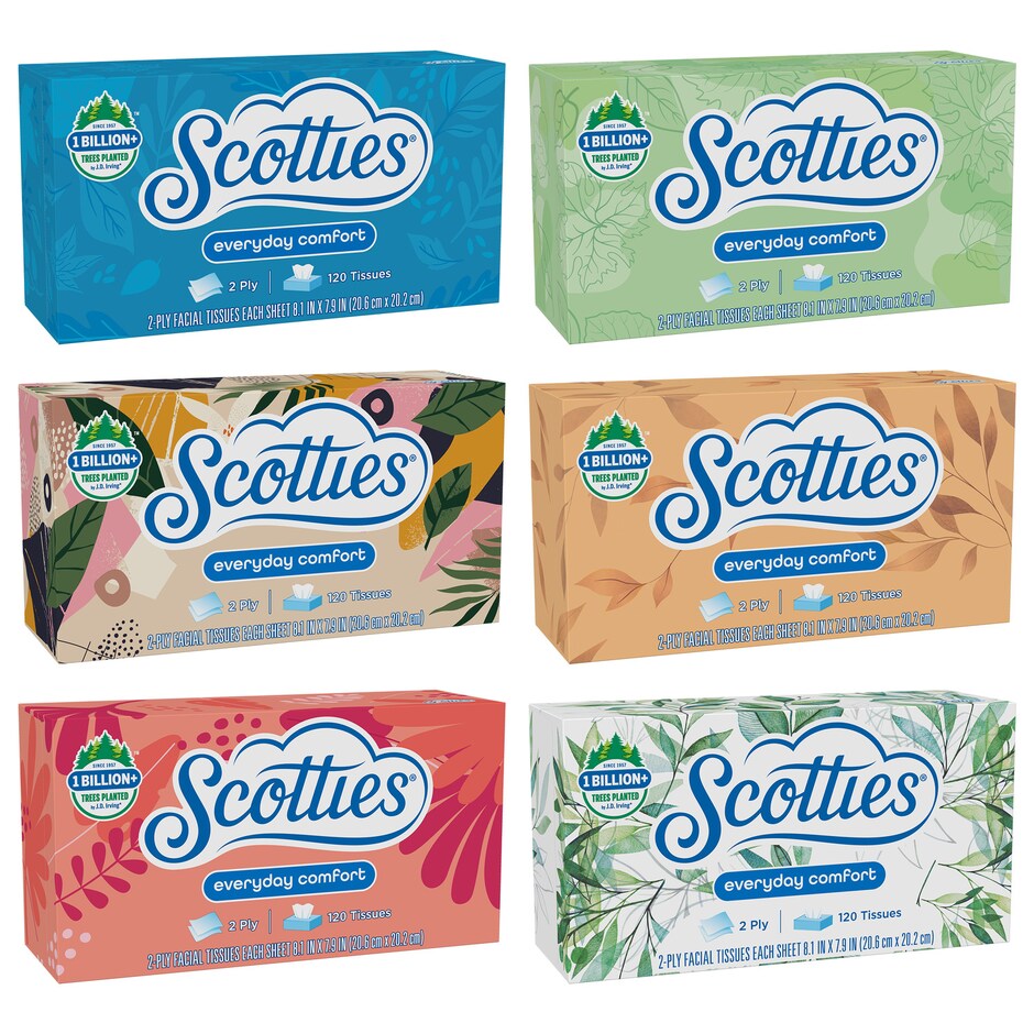 Scotties Flat Tissue, 120-ct. Box