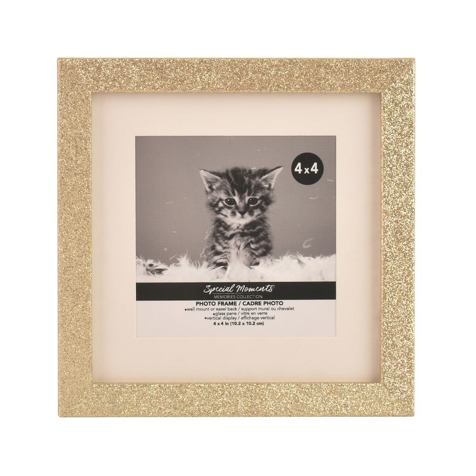 Collage Frames: Clip Photo Frames & Hanger Lines | DollarTree.com