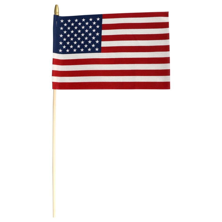 Patriotic Party Supplies | DollarTree.com