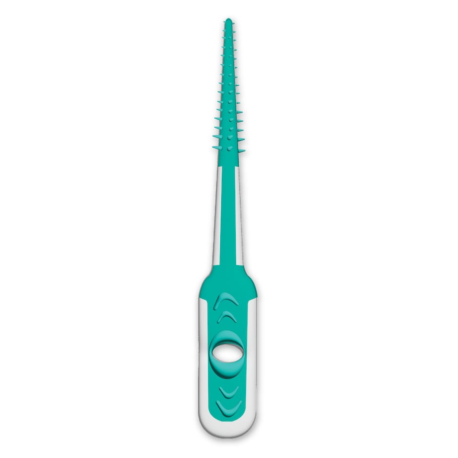 Dental Floss: Dental Flossers & Minibrushes | DollarTree.com