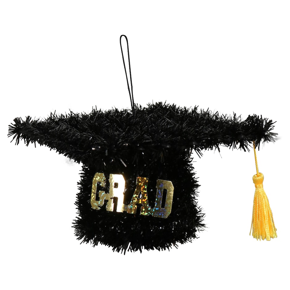 Graduation Party Supplies, Favors & Grad Party Gifts | DollarTree.com