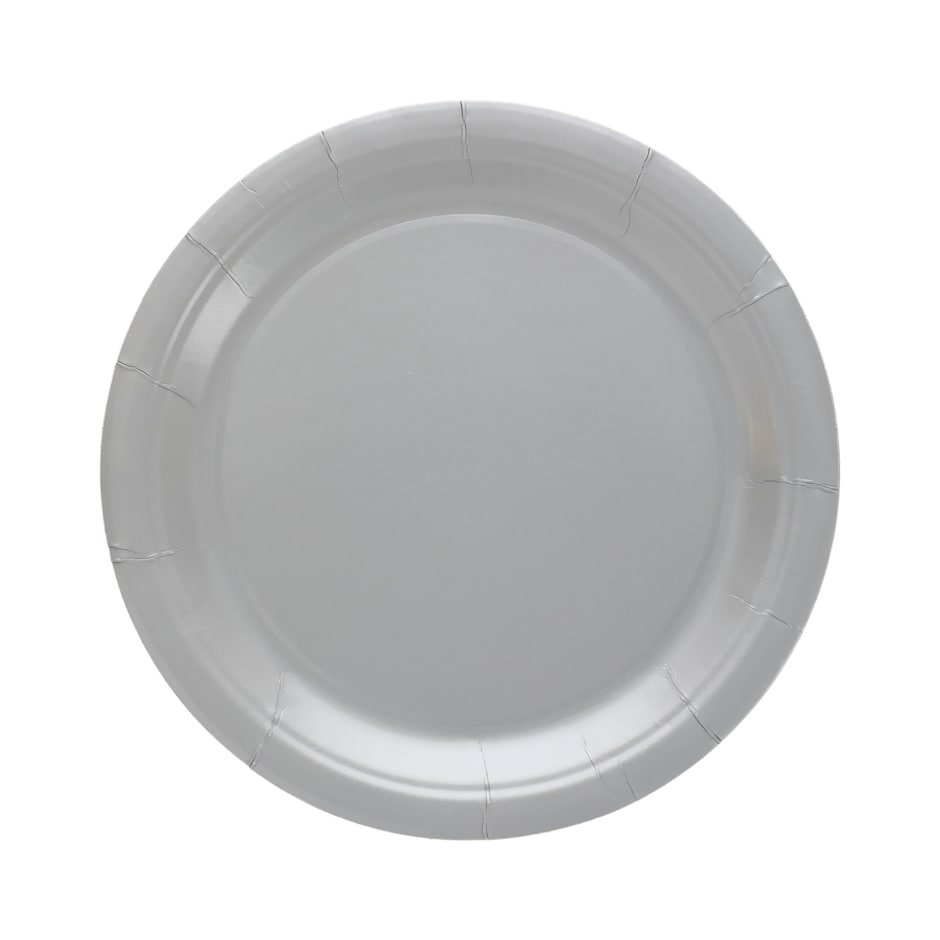 Silver Party Supplies | DollarTree.com