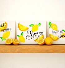 Summer | DollarTree.com