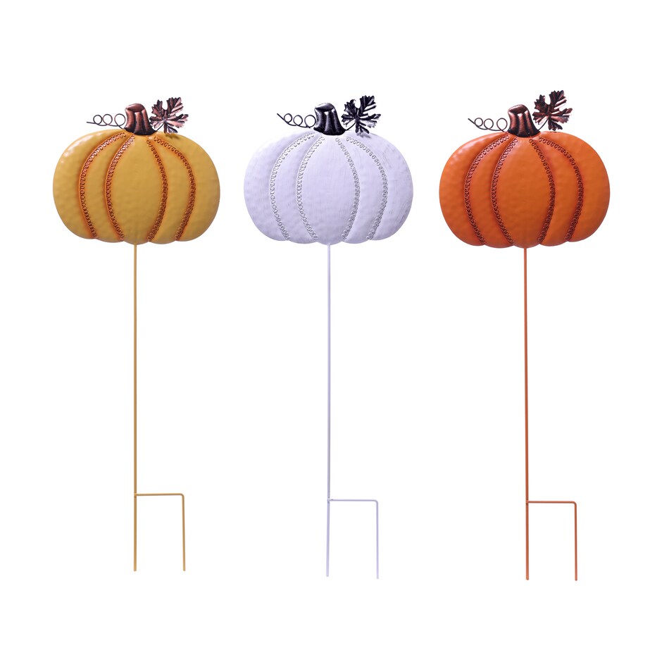 Fall & Harvest Pumpkins | DollarTree.com