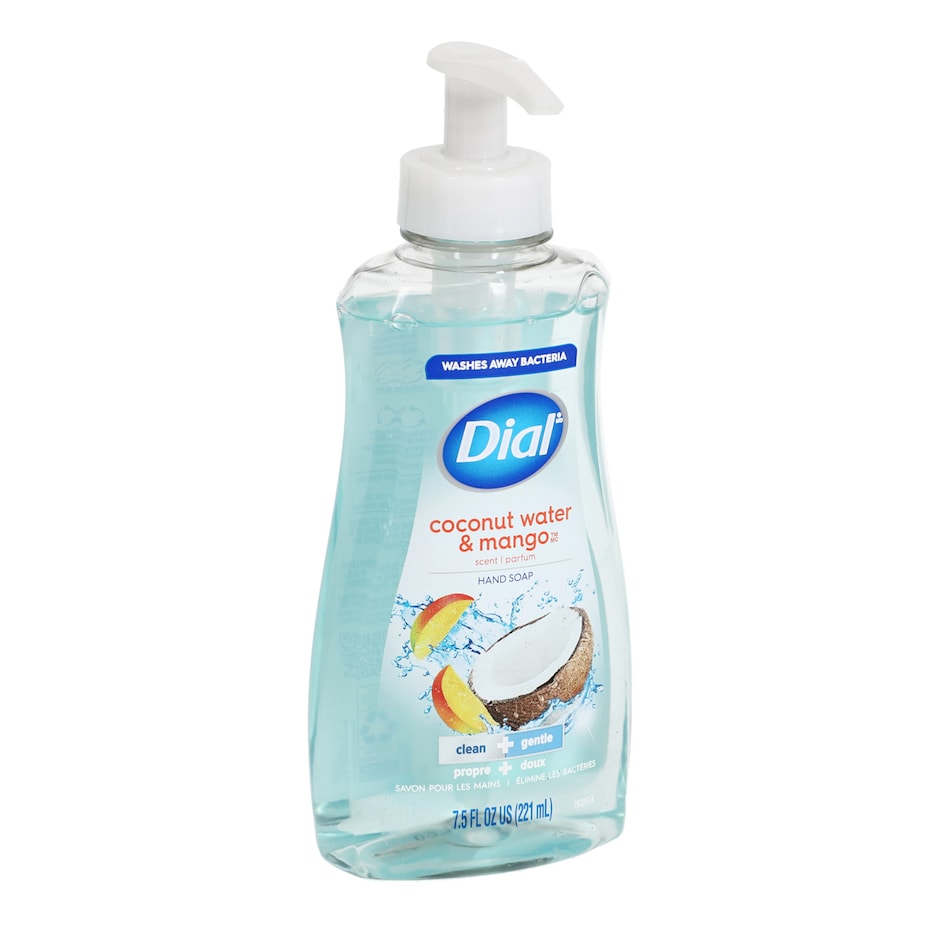Hand Soaps & Sanitizers: Soap Refills | DollarTree.com