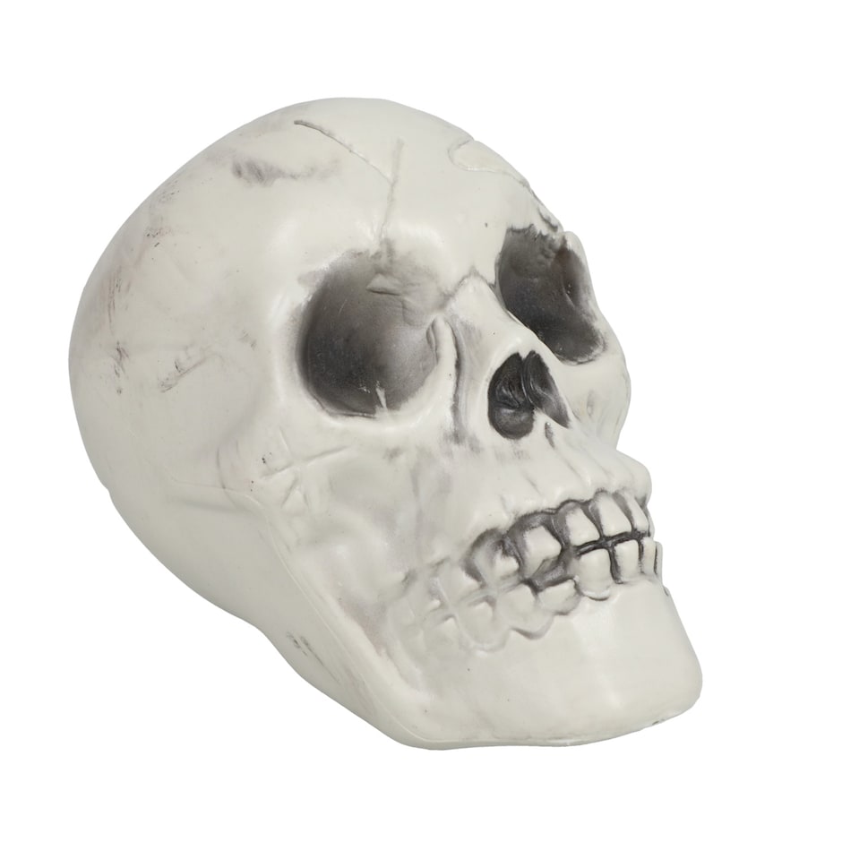 Plastic Halloween Skull Decor. | Dollar Tree