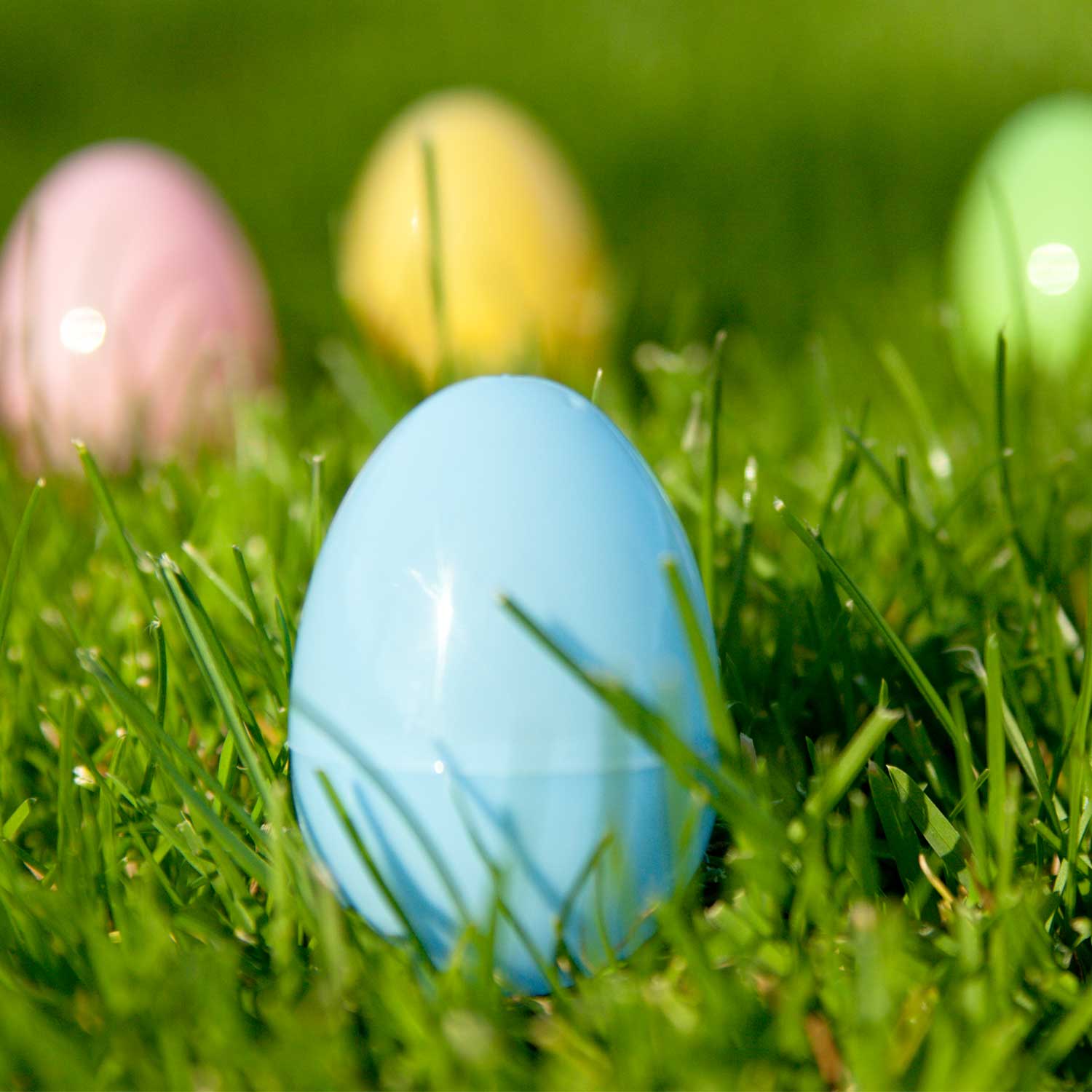 201303-35.jpg\\u0026height=300\\u0026width=300