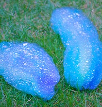 20200823-main-small.jpg\\u0026height=300\\u0026width=300