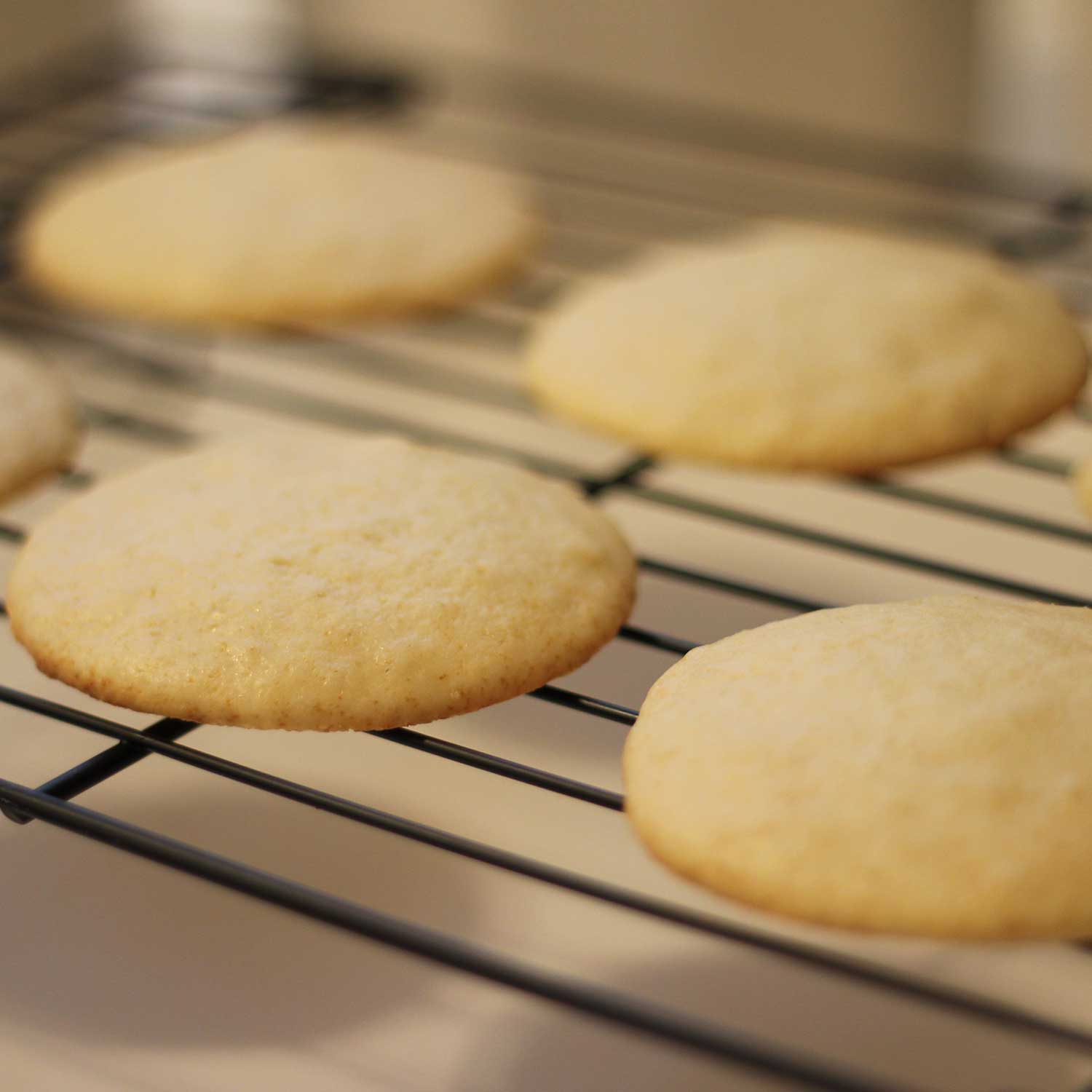 201301-12.jpg\\u0026height=300\\u0026width=300