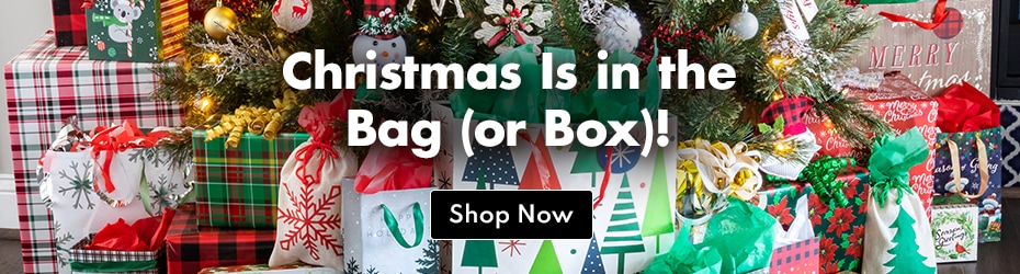 Christmas: Plush, Cards & More Christmas Decor | DollarTree.com