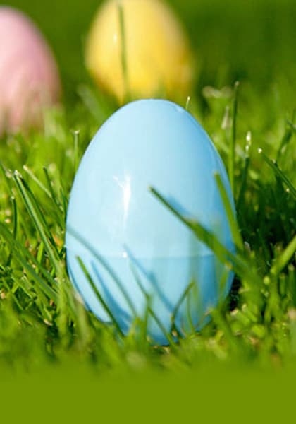 Easter Shop Supplies & Accessories | DollarTree.com