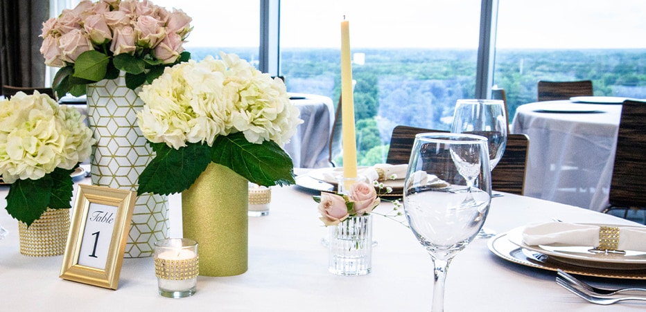 Dinnerware: Melamine Dinnerware & Dinner Sets | DollarTree.com