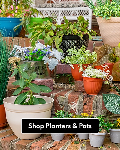 Garden Supplies, Potting Supplies, Garden & Backyard | DollarTree.com