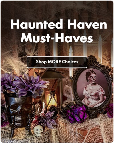 Shop Halloween Decorations, Costumes, Candy & More | DollarTree.com