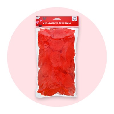 Valentine's Day Gifts: Vases, Cards & More | DollarTree.com