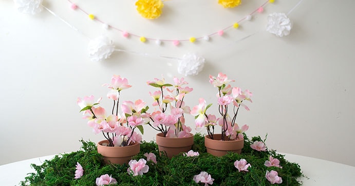 Banner and Spring Floral Display