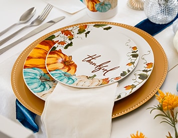 Dinnerware: Melamine Dinnerware & Dinner Sets | DollarTree.com