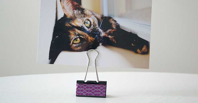 4 Ways to Use Binder Clips in Your Classroom | Dollar Tree