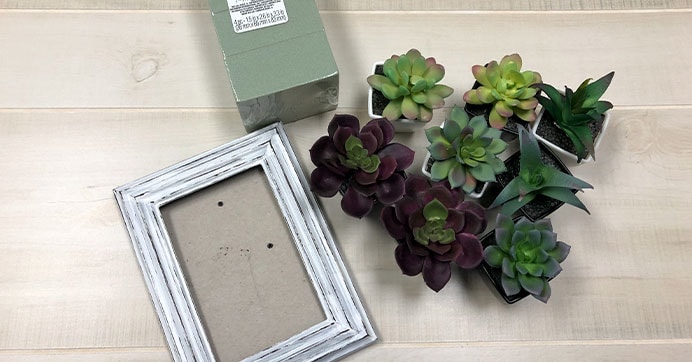 Succulent Frame Supplies