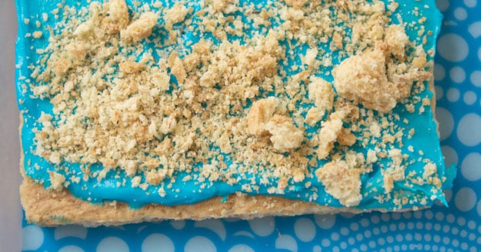 Ocean-Themed Graham Crackers | Dollar Tree