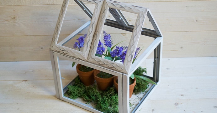 A small terrarium made of out picture frames with three small purple ...