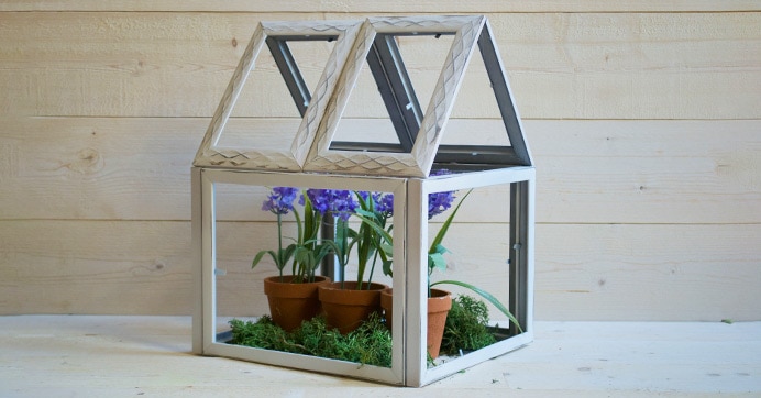 A small terrarium made of picture frames with three small purple flower ...